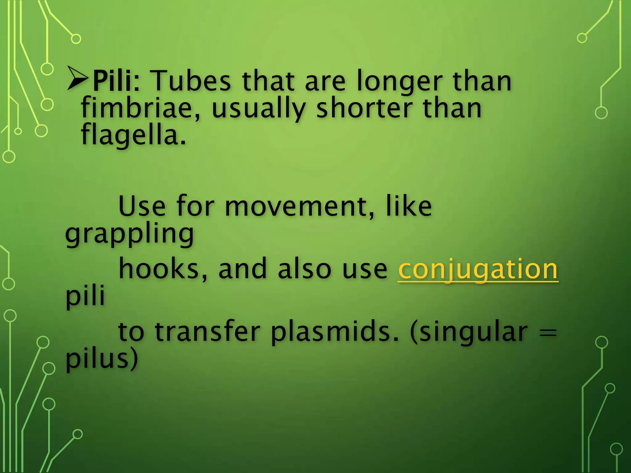 Prokaryotic-Cell-Structure-Function-Biology-Lecture-PowerPoint-VMCct.pptx