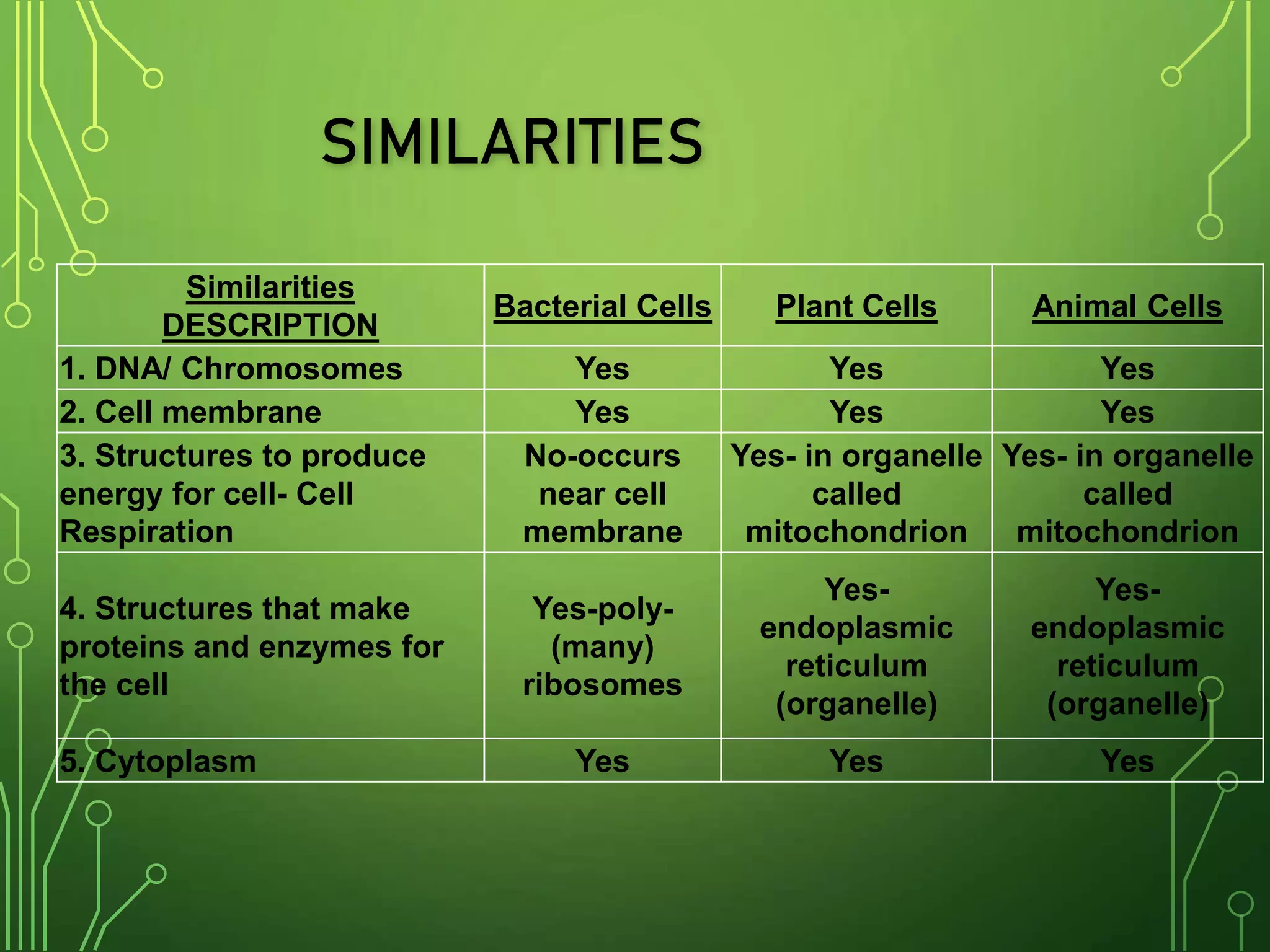 Prokaryotic-Cell-Structure-Function-Biology-Lecture-PowerPoint-VMCct.pptx