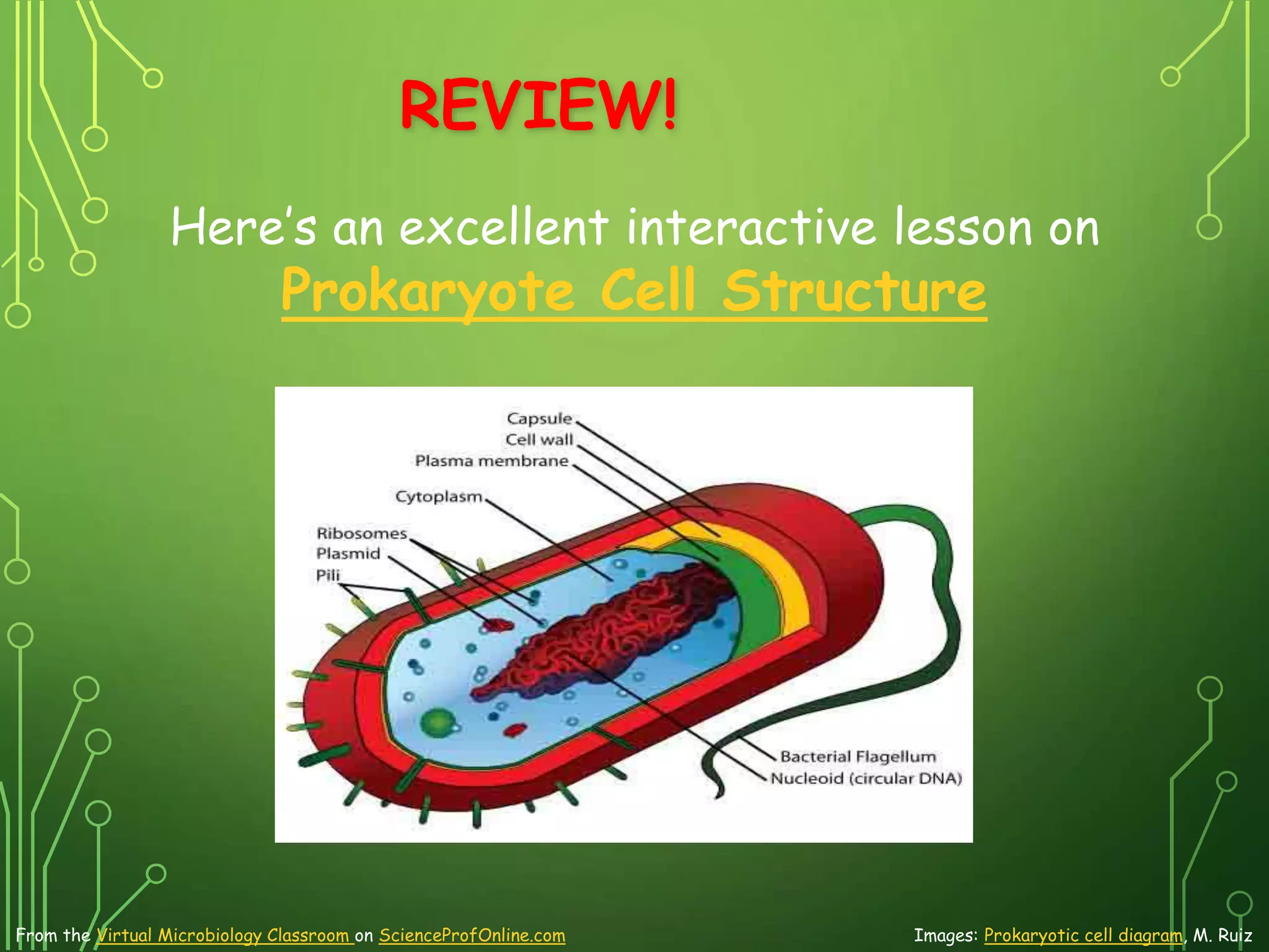 Prokaryotic-Cell-Structure-Function-Biology-Lecture-PowerPoint-VMCct.pptx