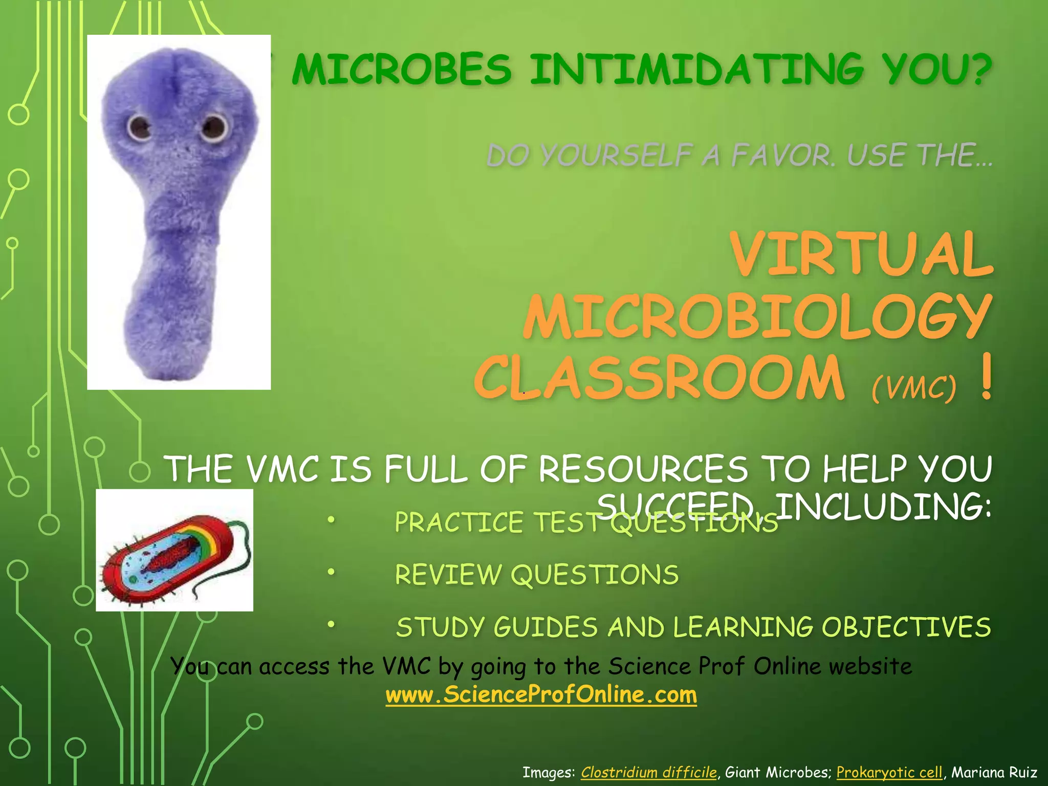 Prokaryotic Cell Structure Function Biology Lecture Powerpoint Vmcct Pptx