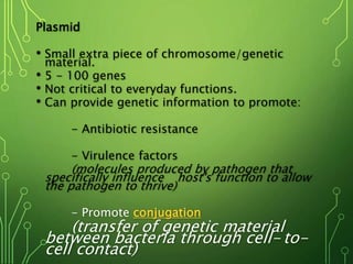 Prokaryotic-Cell-Structure-Function-Biology-Lecture-PowerPoint-VMCct.pptx
