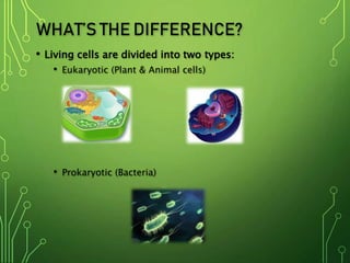 Prokaryotic-Cell-Structure-Function-Biology-Lecture-PowerPoint-VMCct.pptx