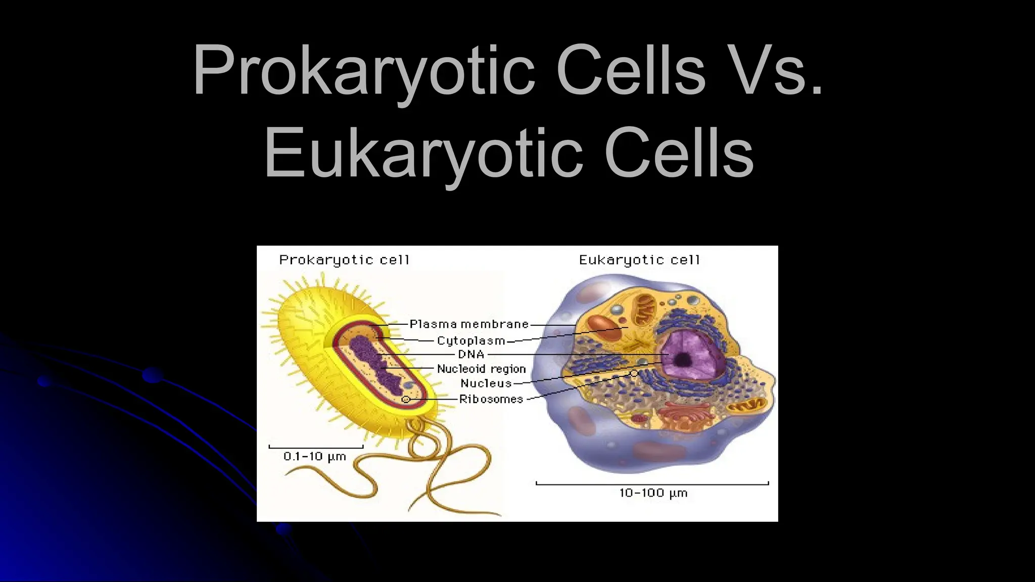 Prokaryotic-vs-Eukaryotic-Cells.....pptx