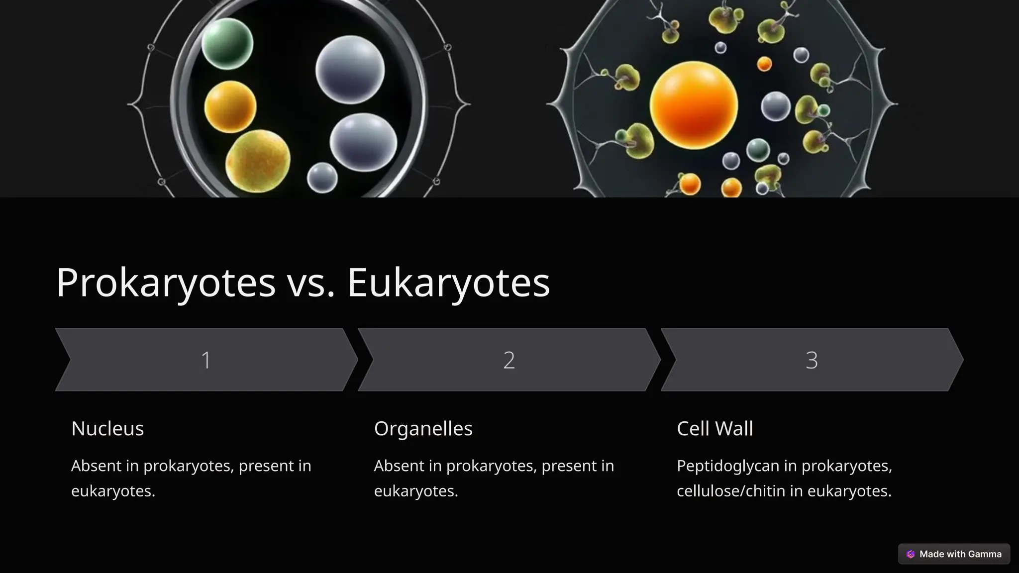 Prokaryotic-vs-Eukaryotic-Cells (1).pptx