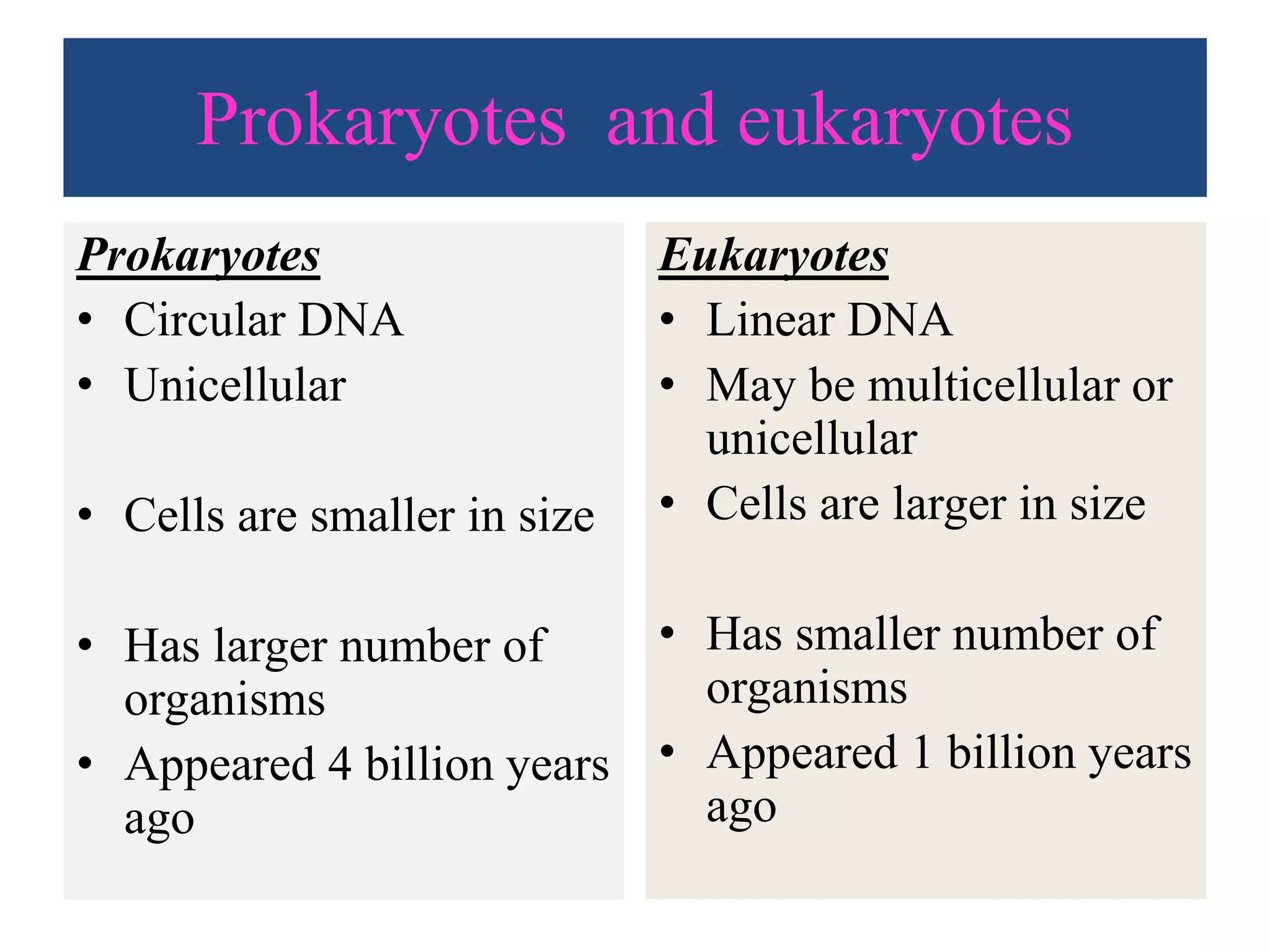 Prokaryotic and eukaryotic cell | PPT