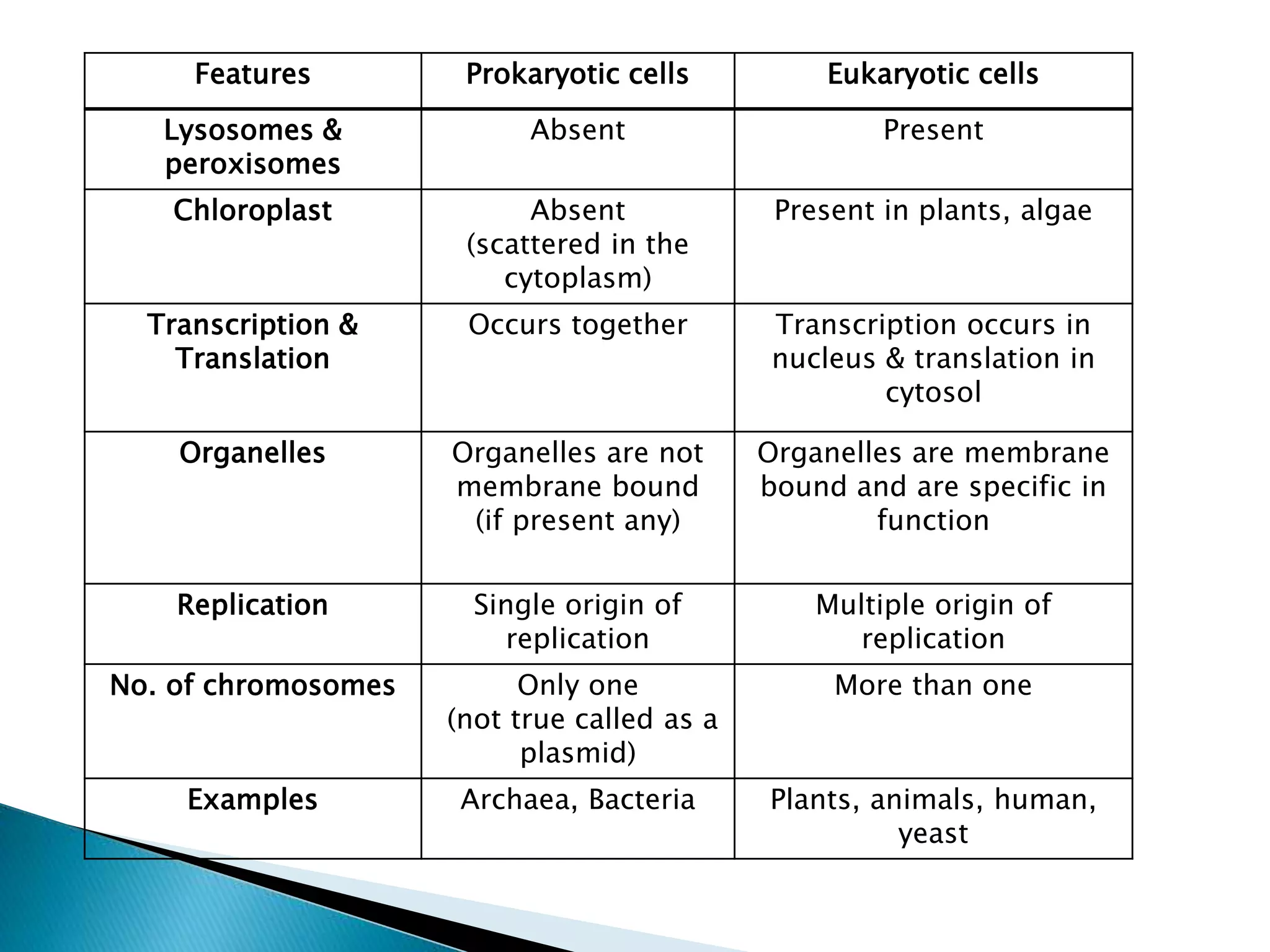 Prokaryotic and eukaryotic cell | PPTX