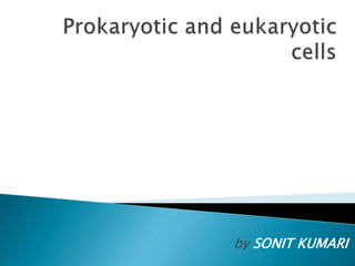 Prokaryotic and eukaryotic cell | PPTX