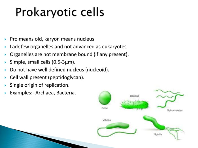 Prokaryotic and eukaryotic cell | PPTX