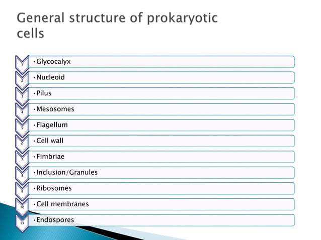 Prokaryotic and eukaryotic cell | PPTX