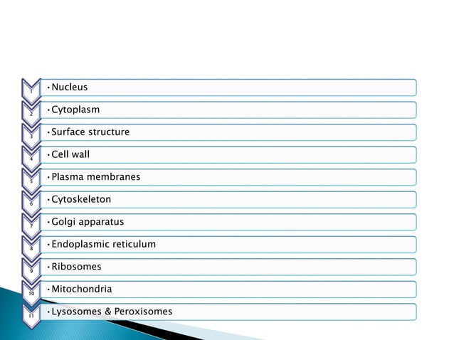 Prokaryotic and eukaryotic cell | PPTX