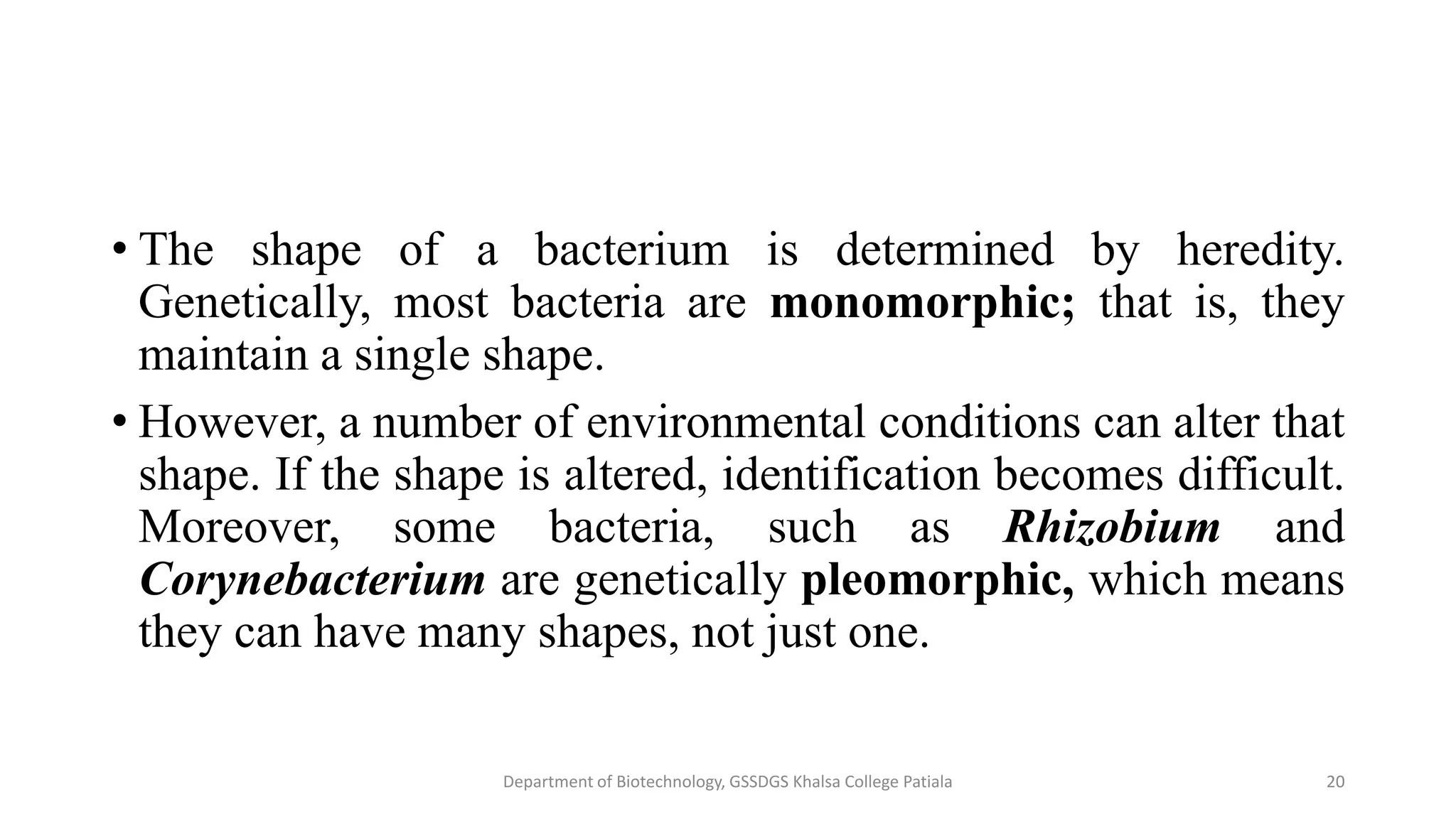 Prokaryotic and eukaryotic cell | PDF