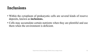 Prokaryotic and eukaryotic cell | PDF