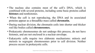 Prokaryotic and eukaryotic cell | PDF