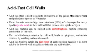 Prokaryotic and eukaryotic cell | PPT