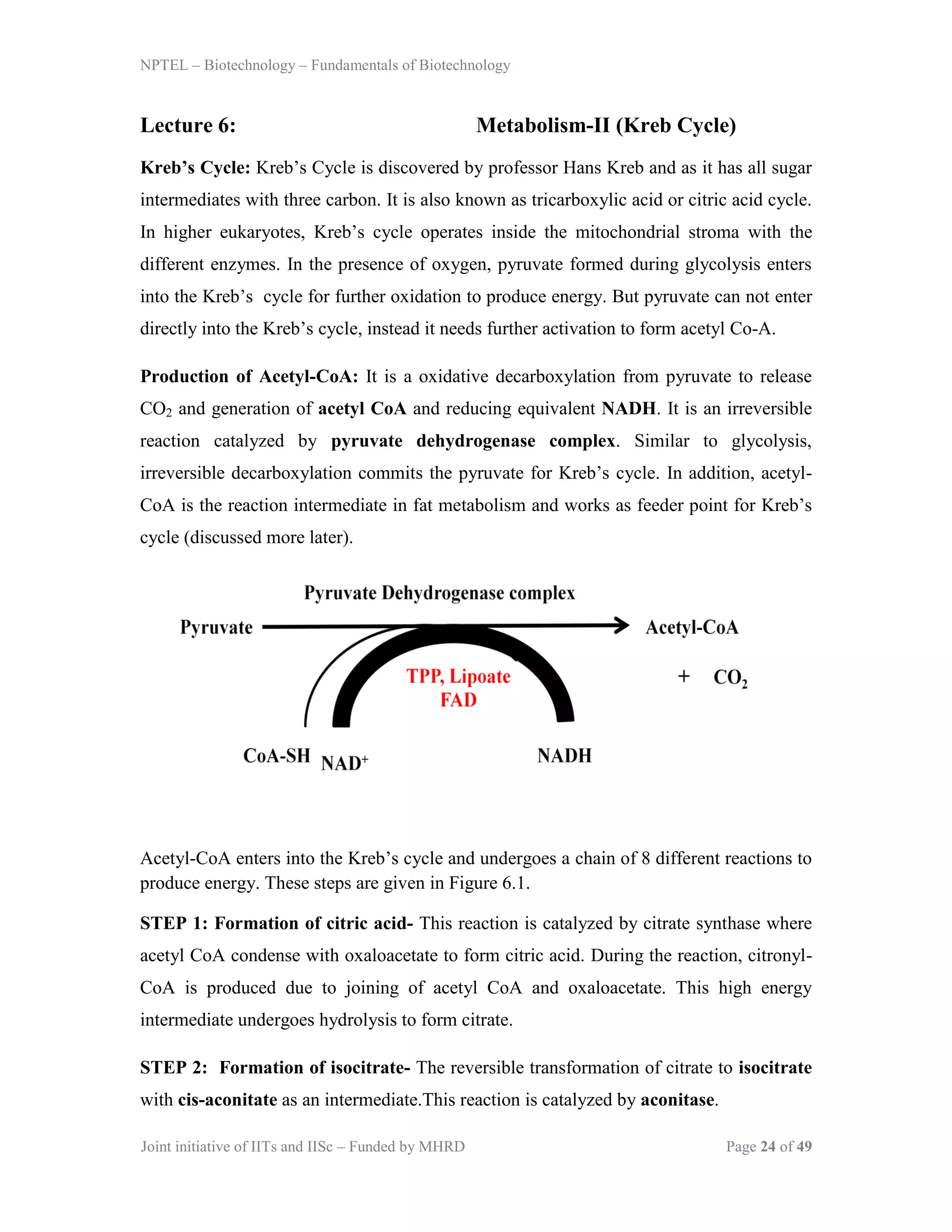 Prokaryotic and eukaryotic cells | PDF