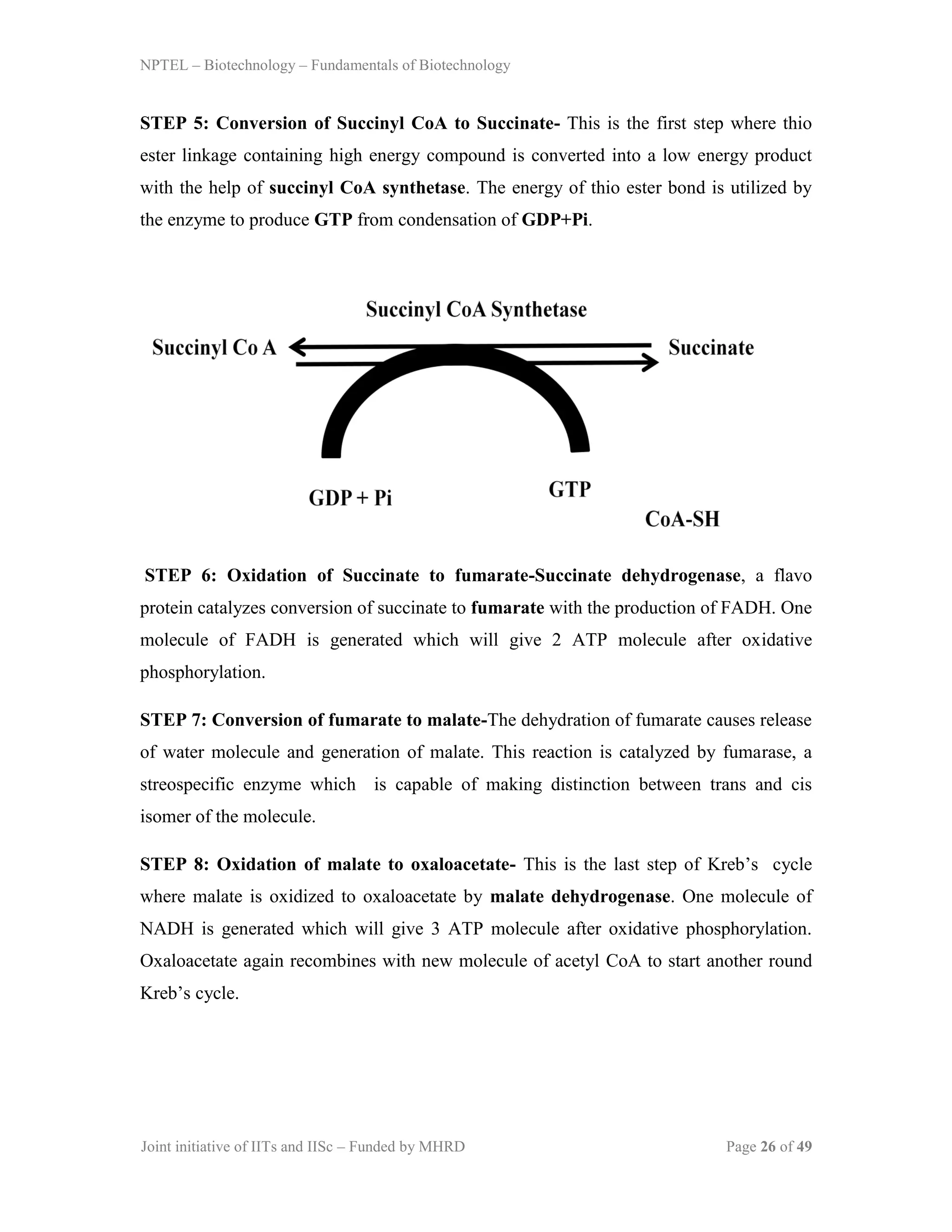 Prokaryotic and eukaryotic cells | PDF