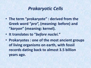 Prokaryotic and eukaryotic cells | PPTX