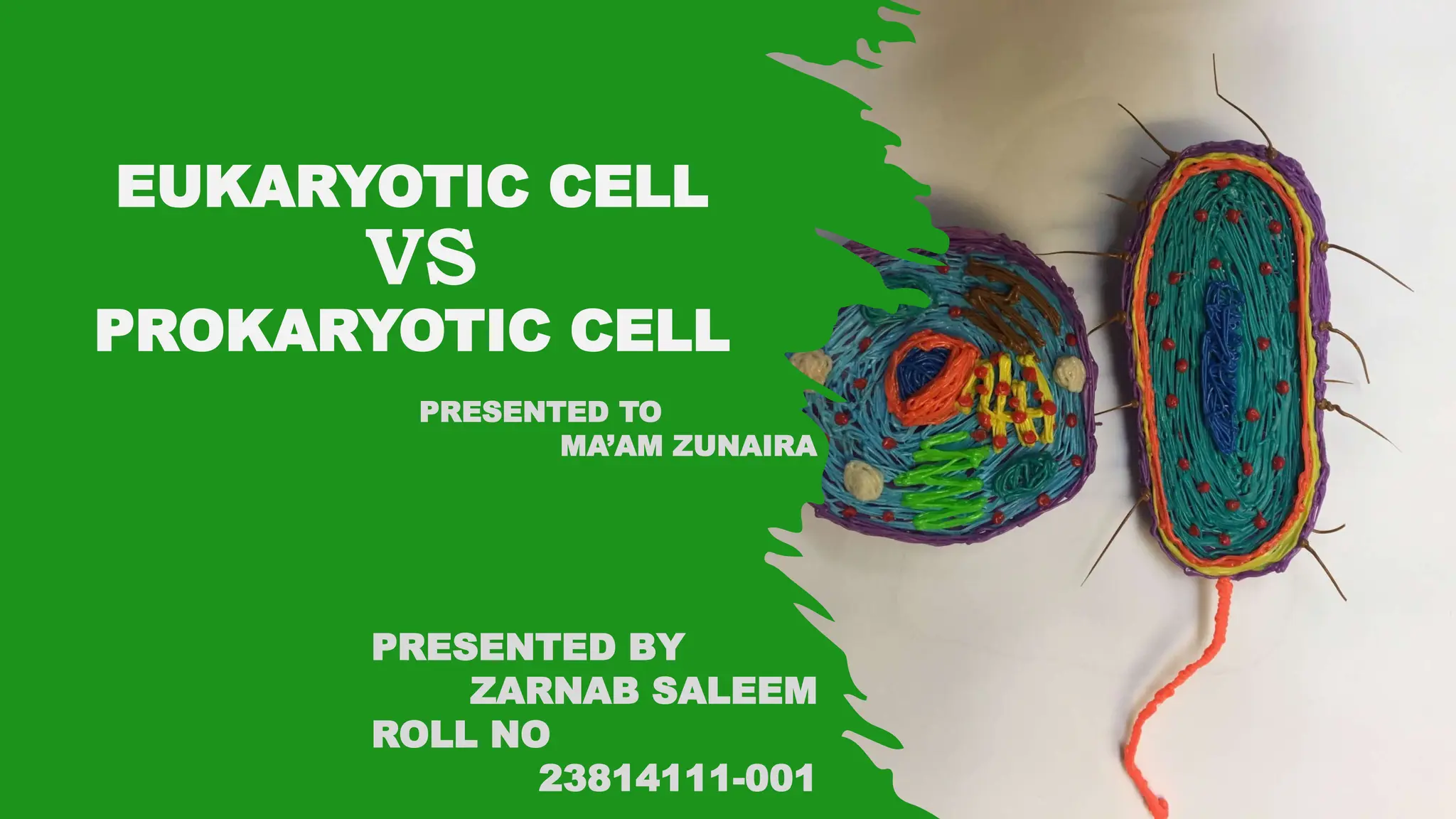 Difference between PROKARYOTIC and EUKARYOTIC CELLS.pptx
