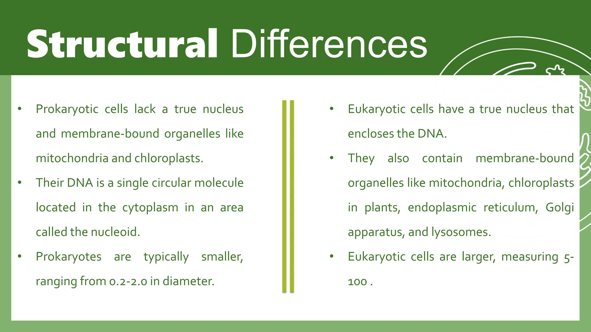 Difference between PROKARYOTIC and EUKARYOTIC CELLS.pptx