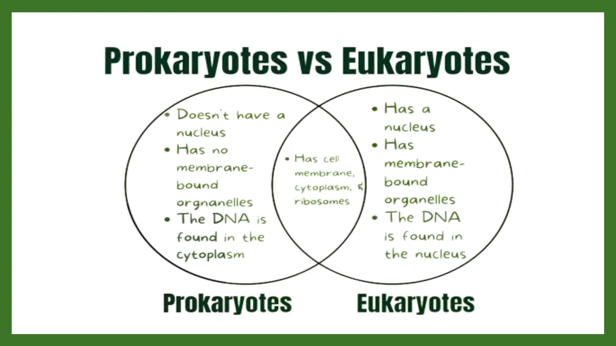 Difference between PROKARYOTIC and EUKARYOTIC CELLS.pptx