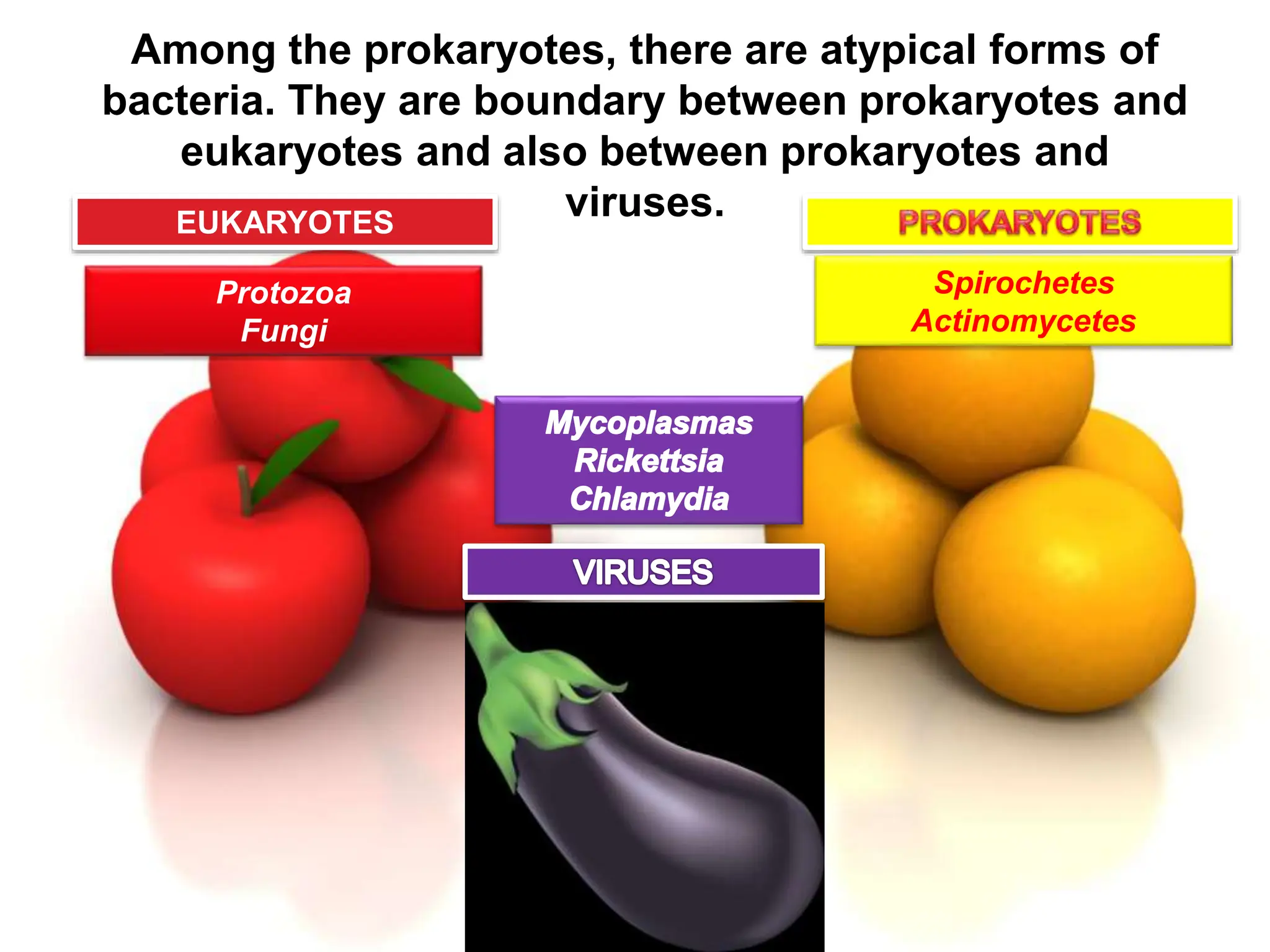 Prokaryotic and Eukaryotic Cells microbiology | PPTX