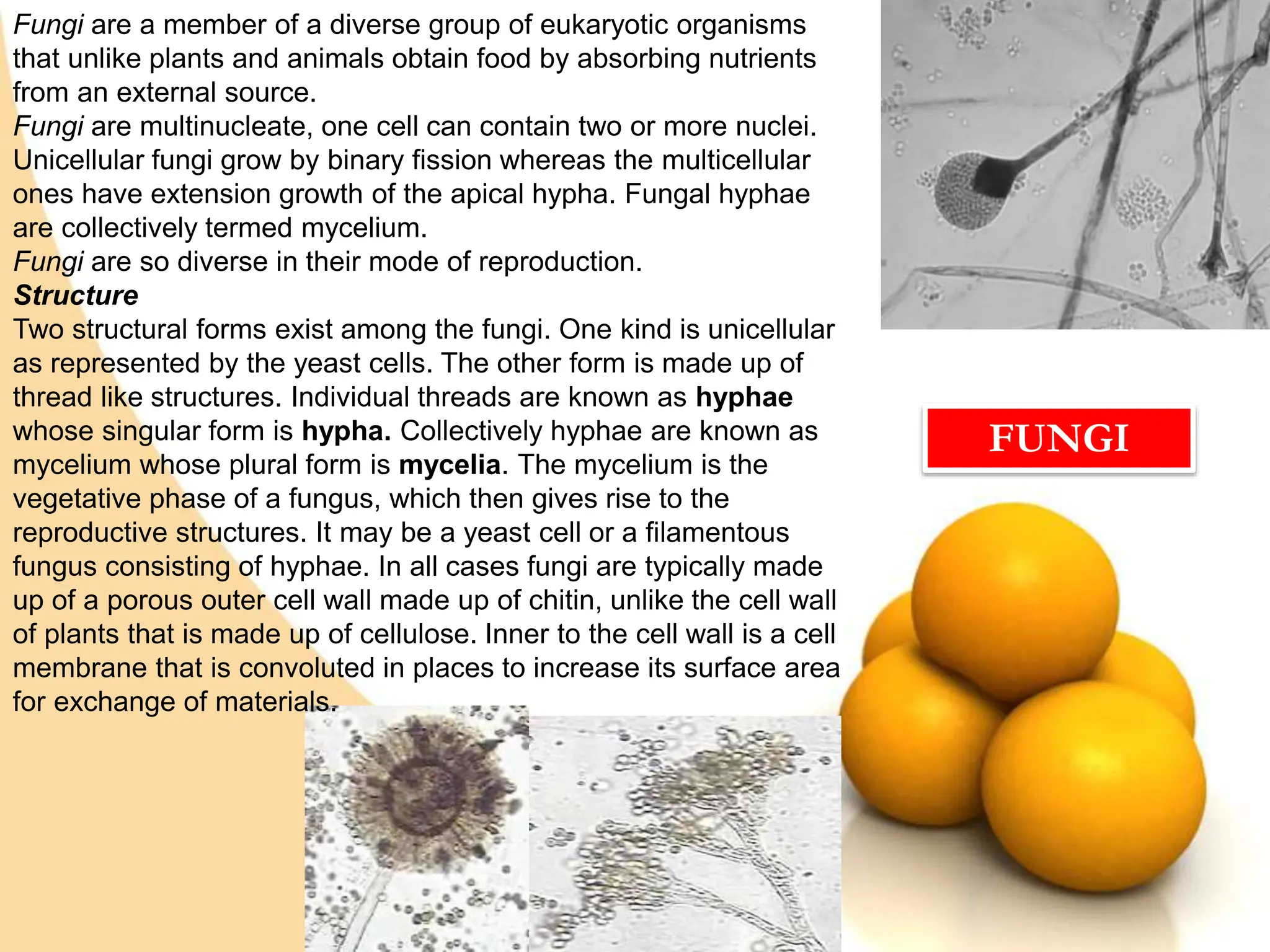 Prokaryotic and Eukaryotic Cells microbiology | PPTX