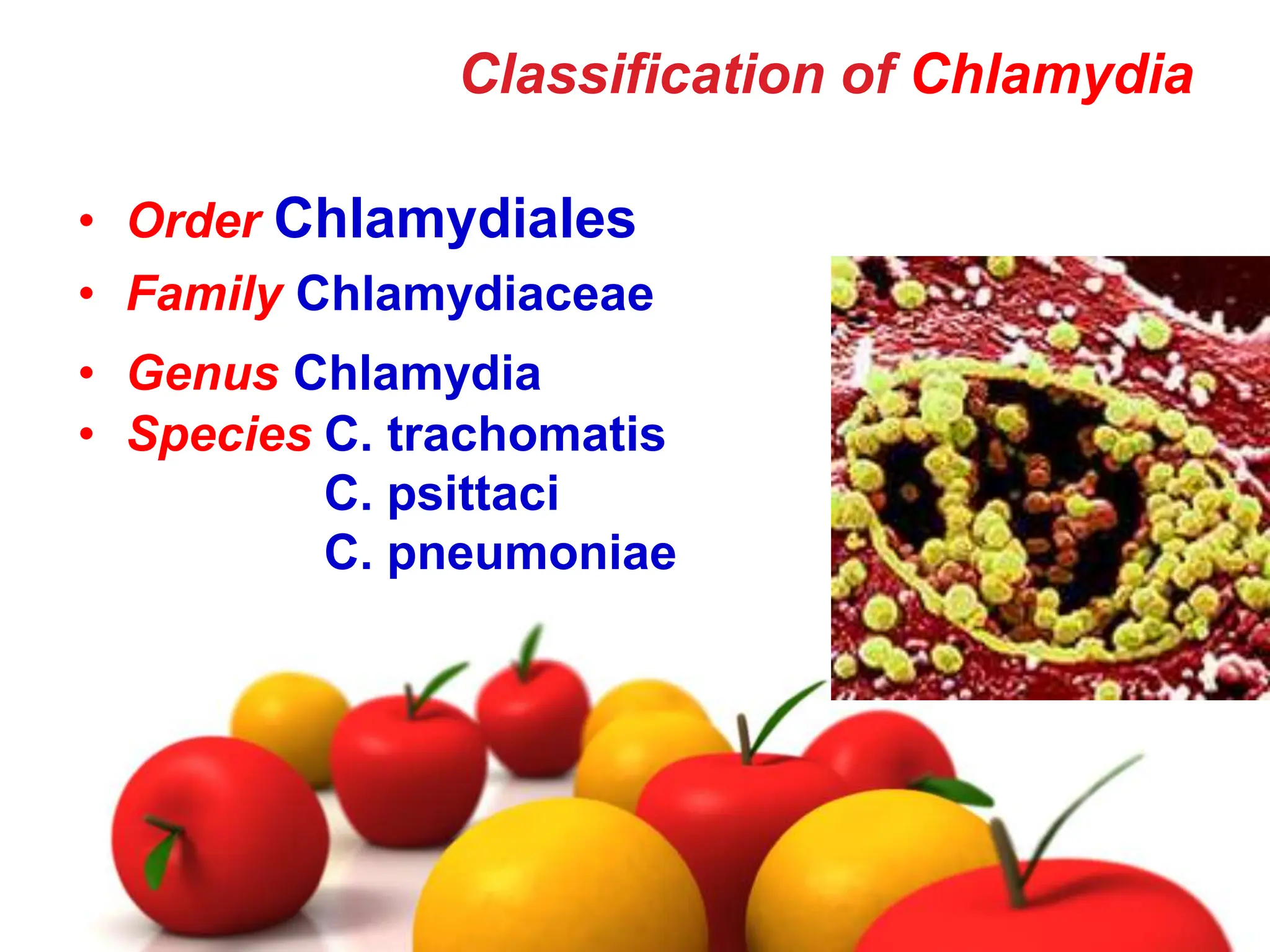 Prokaryotic and Eukaryotic Cells microbiology | PPTX