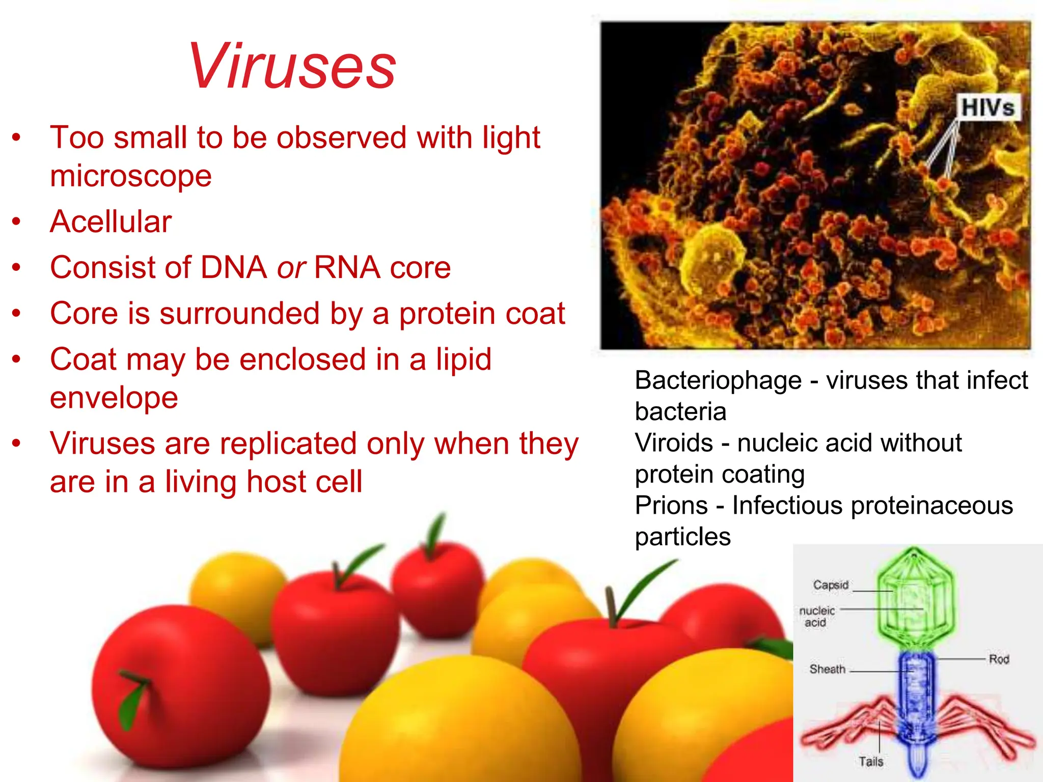 Prokaryotic and Eukaryotic Cells microbiology | PPTX