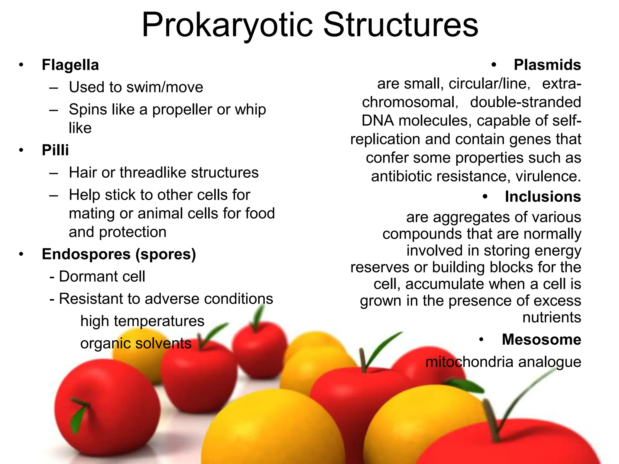 Prokaryotic and Eukaryotic Cells microbiology | PPTX