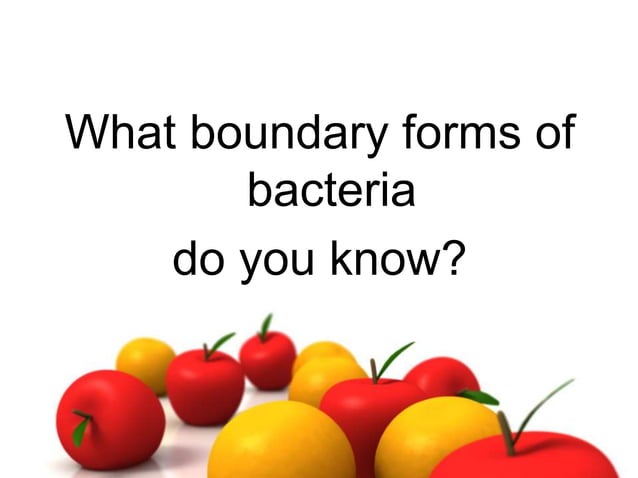 Prokaryotic and Eukaryotic Cells microbiology | PPT Prokaryotic and Eukaryotic Cells microbiology | PPT