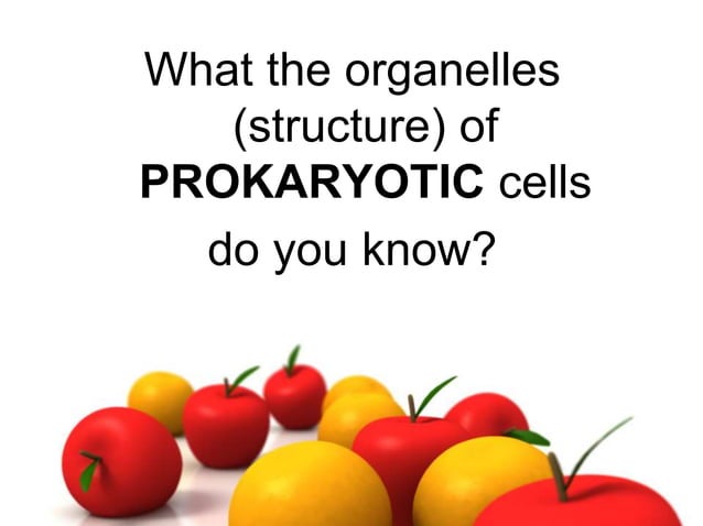 Prokaryotic and Eukaryotic Cells microbiology | PPT Prokaryotic and Eukaryotic Cells microbiology | PPT