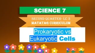 Prokaryotic and Eukaryotic Cells. PowerPoint presentation | PPTX