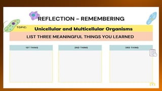 Prokaryotic and Eukaryotic Cells. PowerPoint presentation | PPTX