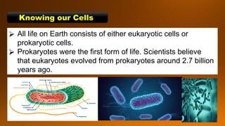 Prokaryotic and Eukaryotic Cells. PowerPoint presentation | PPTX