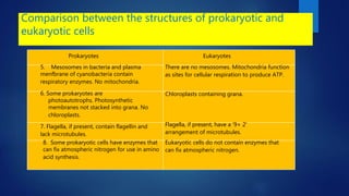 PROKARYOTIC AND EUKARYOTIC CELLS VIDEO PDPC1.pptx