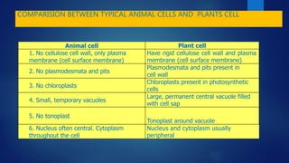 PROKARYOTIC AND EUKARYOTIC CELLS VIDEO PDPC1.pptx