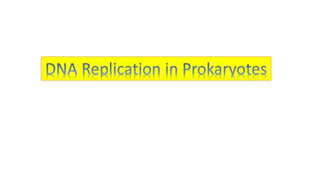 Prokaryotic and eukaryotic dna replication with their clinical ...