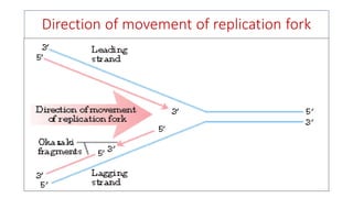 Prokaryotic and eukaryotic dna replication with their clinical ...