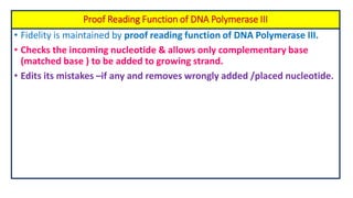 Prokaryotic and eukaryotic dna replication with their clinical ...