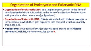 Prokaryotic and eukaryotic dna replication with their clinical ...