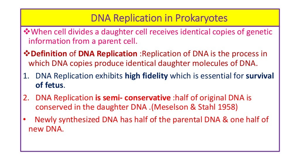 Prokaryotic and eukaryotic dna replication with their clinical applic…