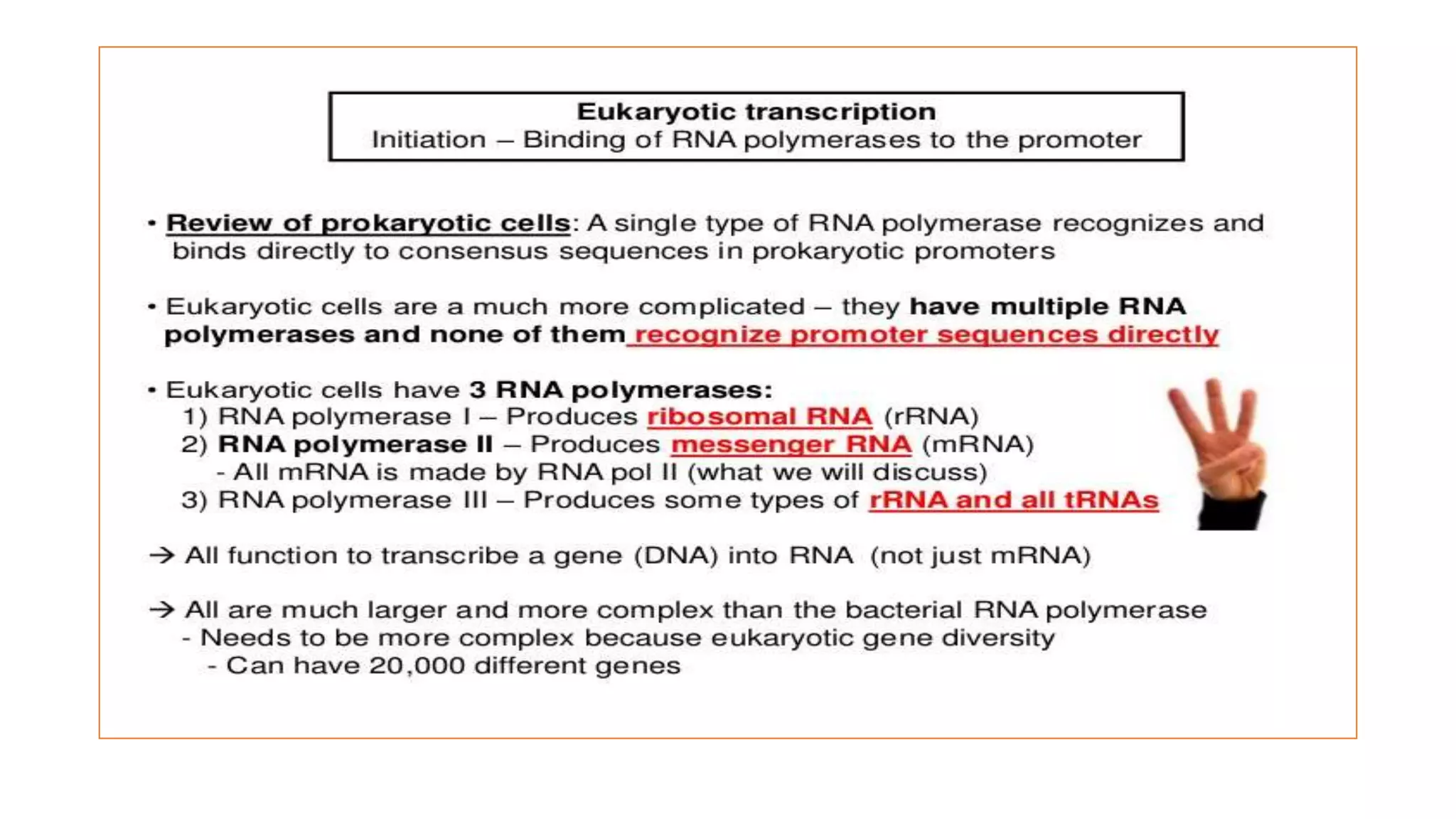 Prokaryotic and eukaryotic gene structures | PPTX