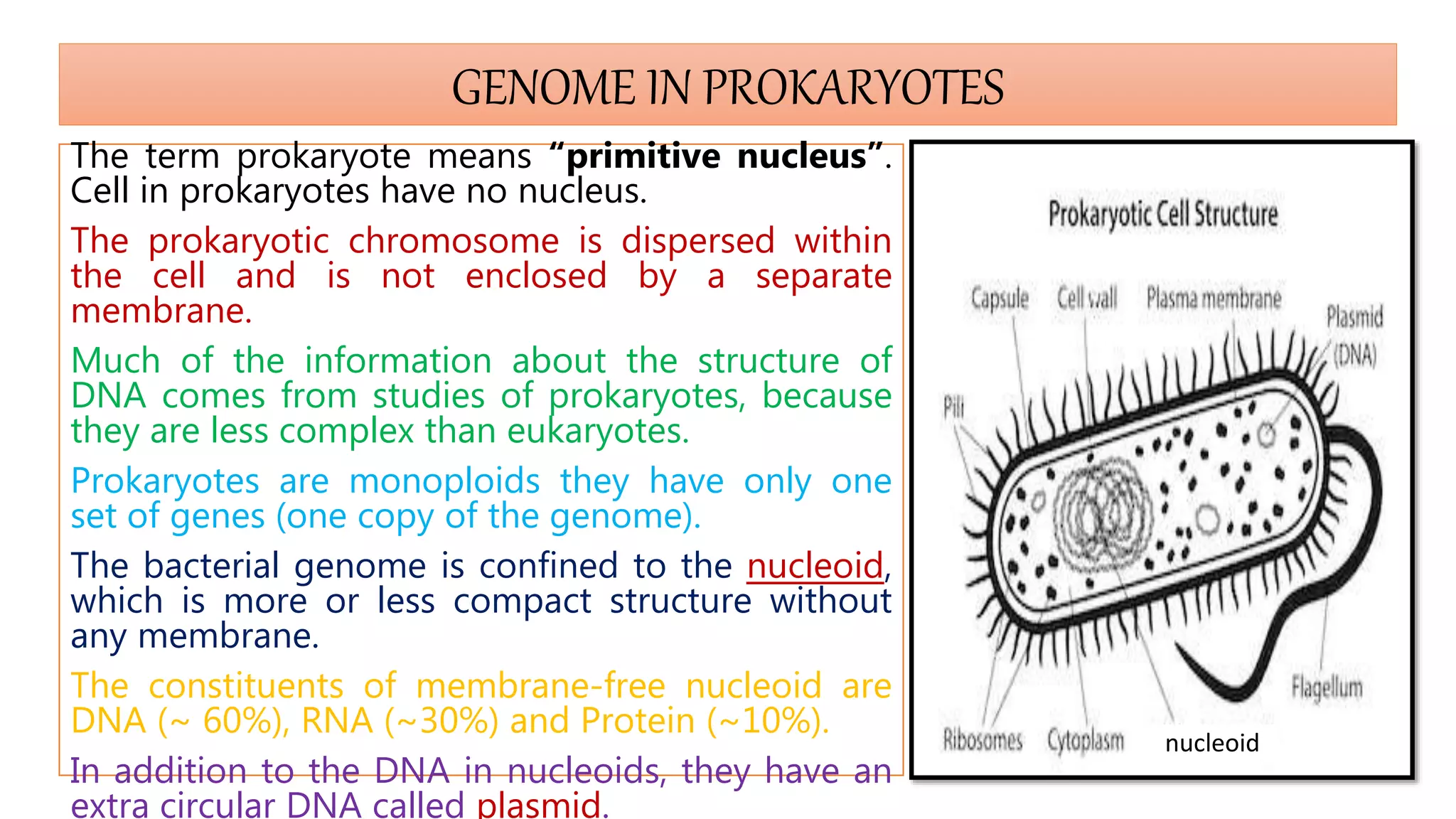 Prokaryotic and eukaryotic gene structures | PPTX