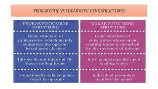 Prokaryotic and eukaryotic gene structures | PPTX