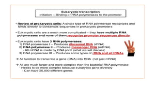 Prokaryotic and eukaryotic gene structures | PPTX