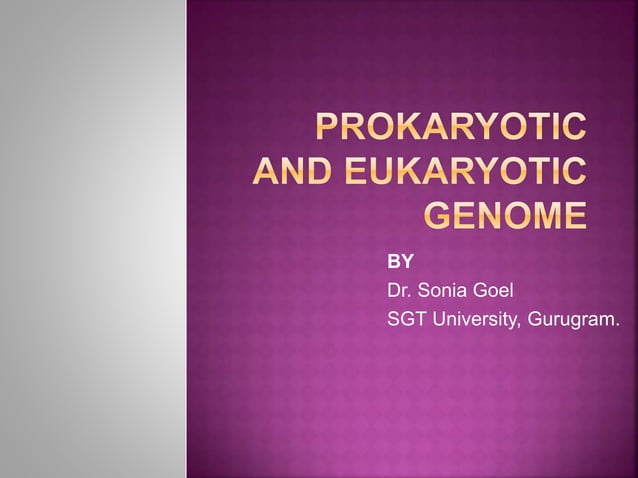 Prokaryotic and eukaryotic genome | PPTX | Biological Sciences | Science