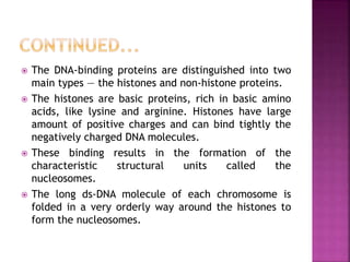 Prokaryotic and eukaryotic genome | PPTX