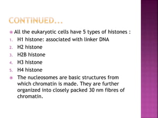 Prokaryotic and eukaryotic genome | PPTX