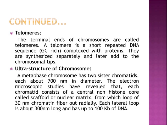 Prokaryotic and eukaryotic genome | PPTX | Biological Sciences | Science