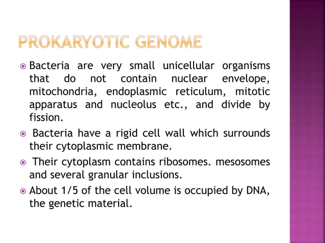 Prokaryotic and eukaryotic genome | PPTX | Biological Sciences | Science